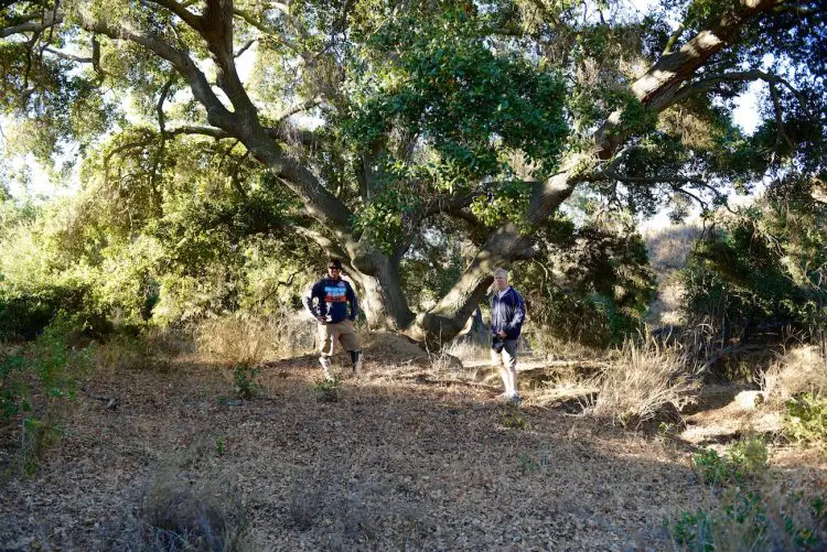 JOURNEY WITH US TO SADDLEBACK PARK: WHAT IT LOOKED LIKE THEN & WHAT IT ...